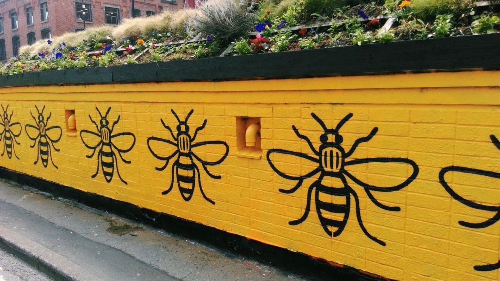 15 Reasons Why Manchester is so Great. - Social Circle Blog